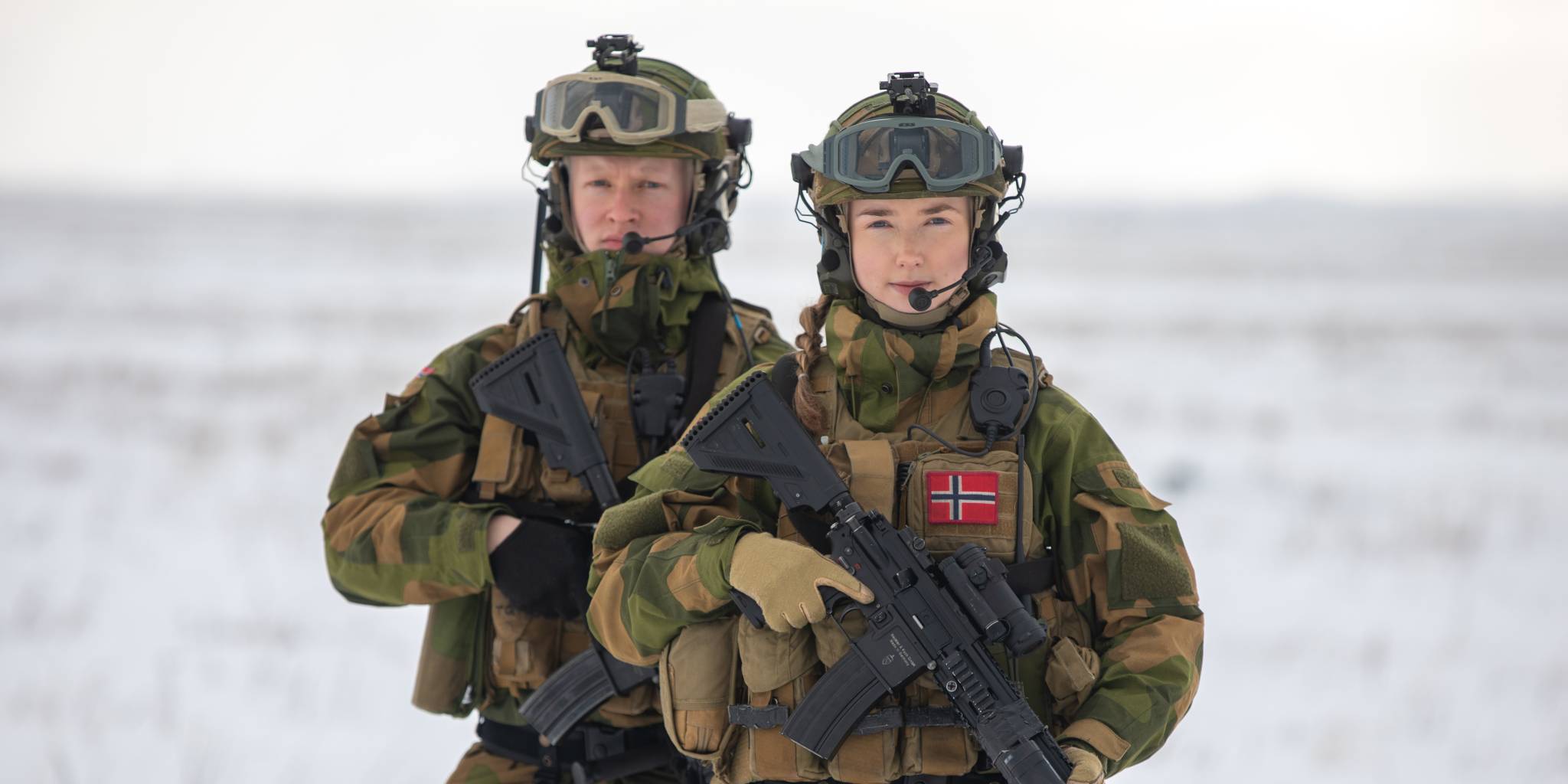 Egenerklæringen - Forsvaret