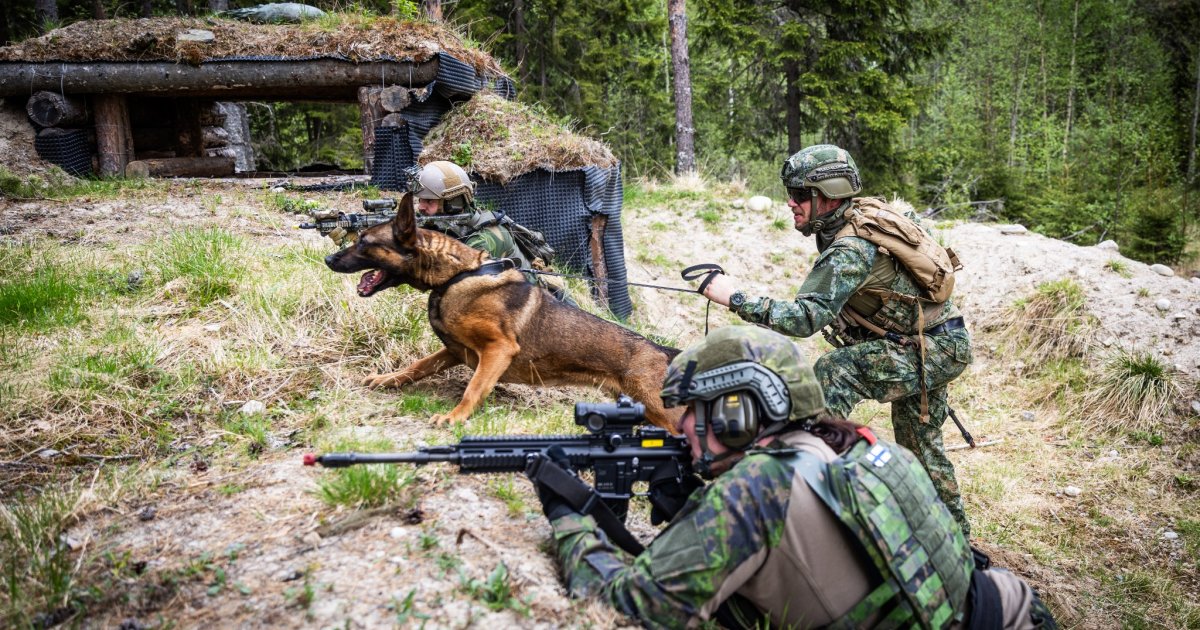 Europeisk samtrening av militære tjenestehunder - NORDEFCO MWD COURSE ...