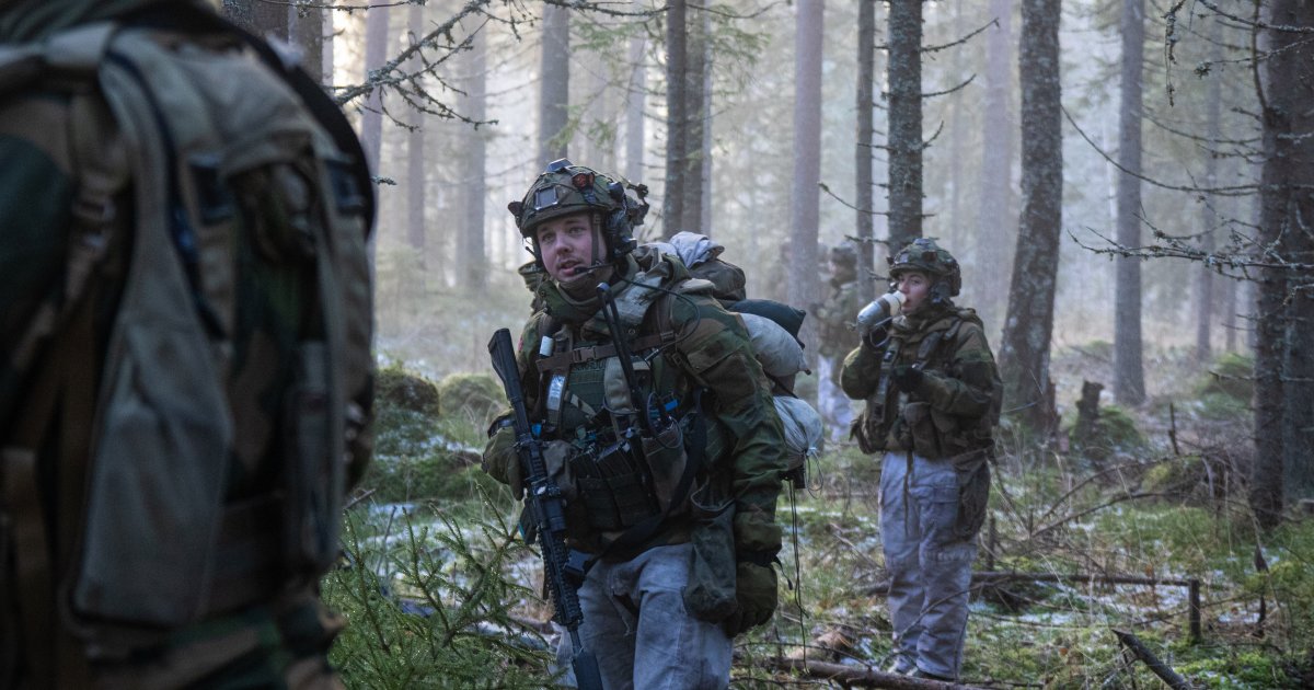 Finnmark landforsvar mot Telemark bataljon - Forsvaret