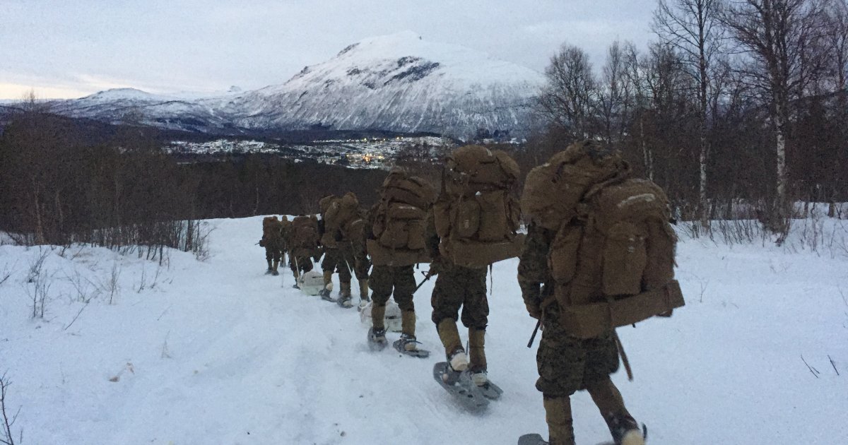 Cold weather unit training with US Marine Corps - Norwegian Armed Forces