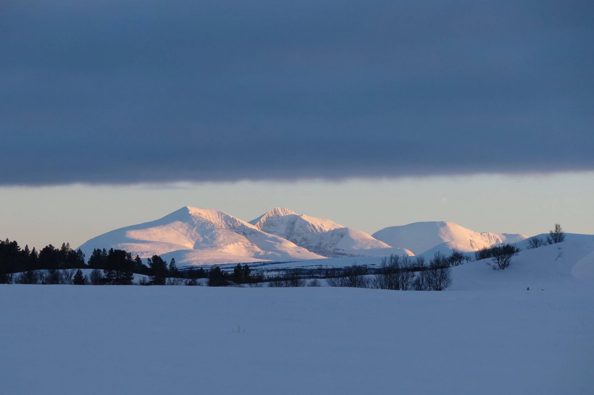 NATO Winter Webinars - Norwegian Armed Forces