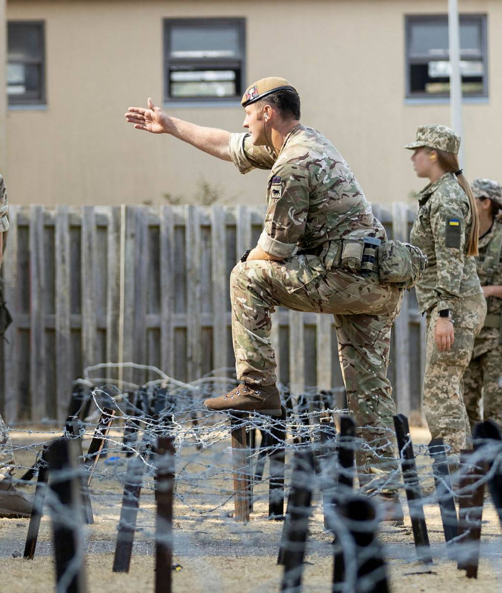 Operasjon Interflex - Forsvaret