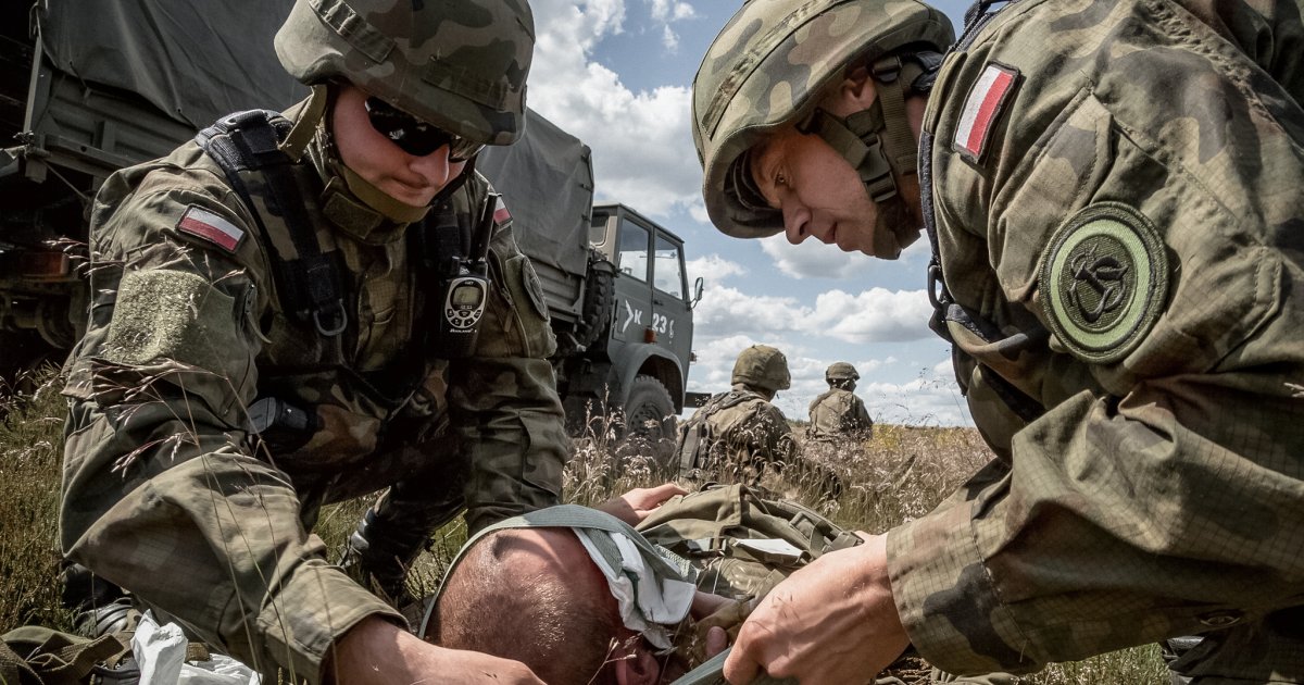 Polen og Frankrike bygger opp heimevern - Forsvaret