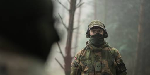 Interflex - Forsvaret