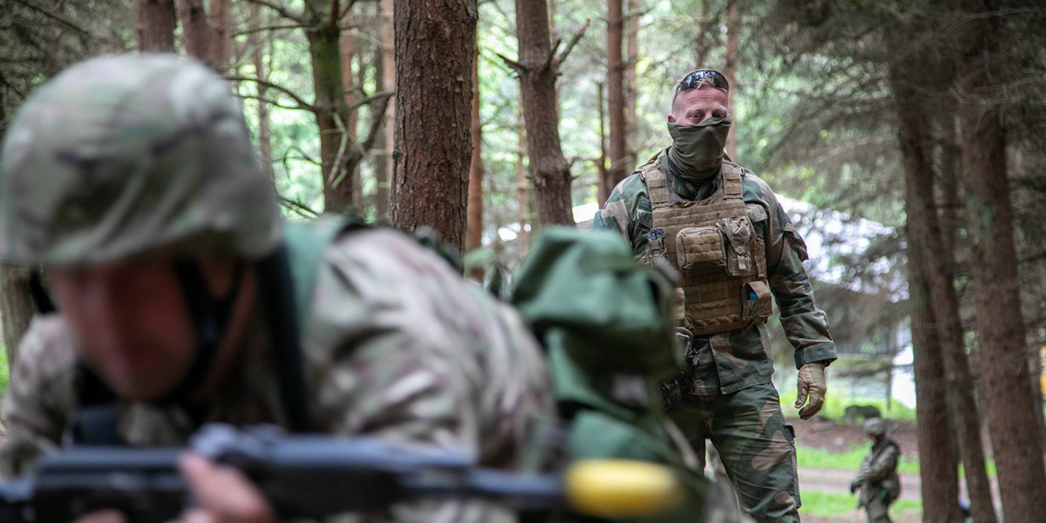 Interflex - Forsvaret