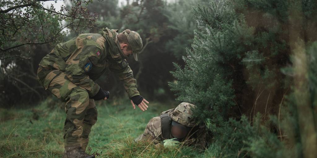 Interflex - Forsvaret