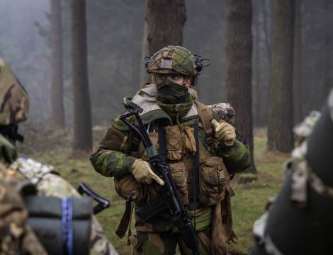 Interflex - Forsvaret