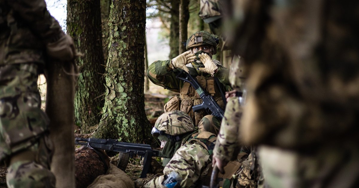 Interflex - Forsvaret