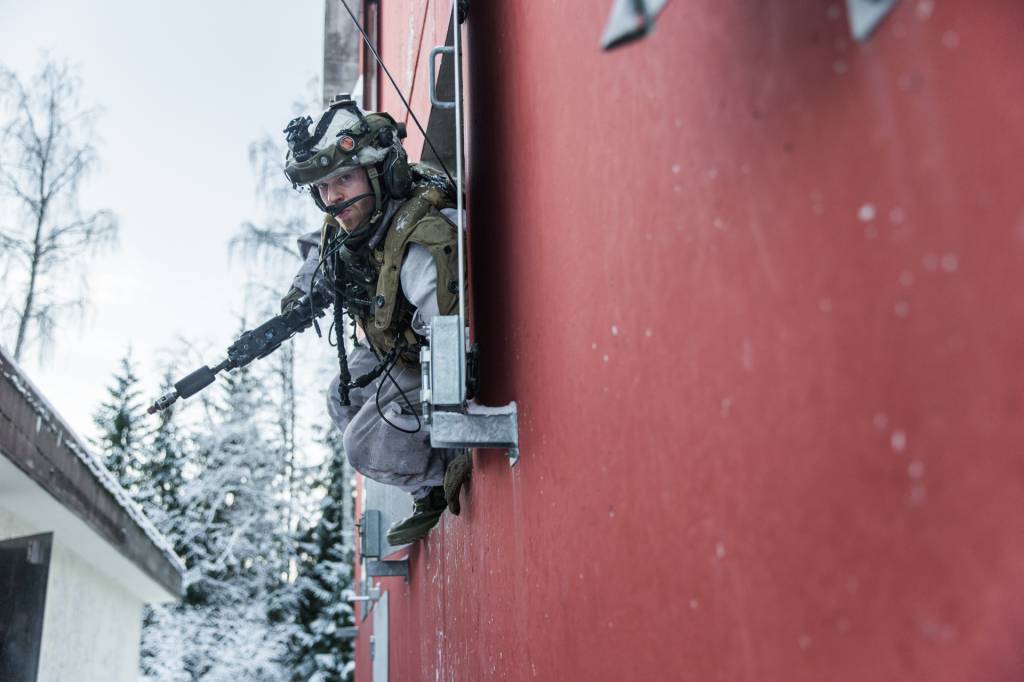 Spesialist i Telemark bataljon - Forsvaret