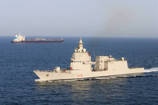 Hormuzstredet - Forsvaret