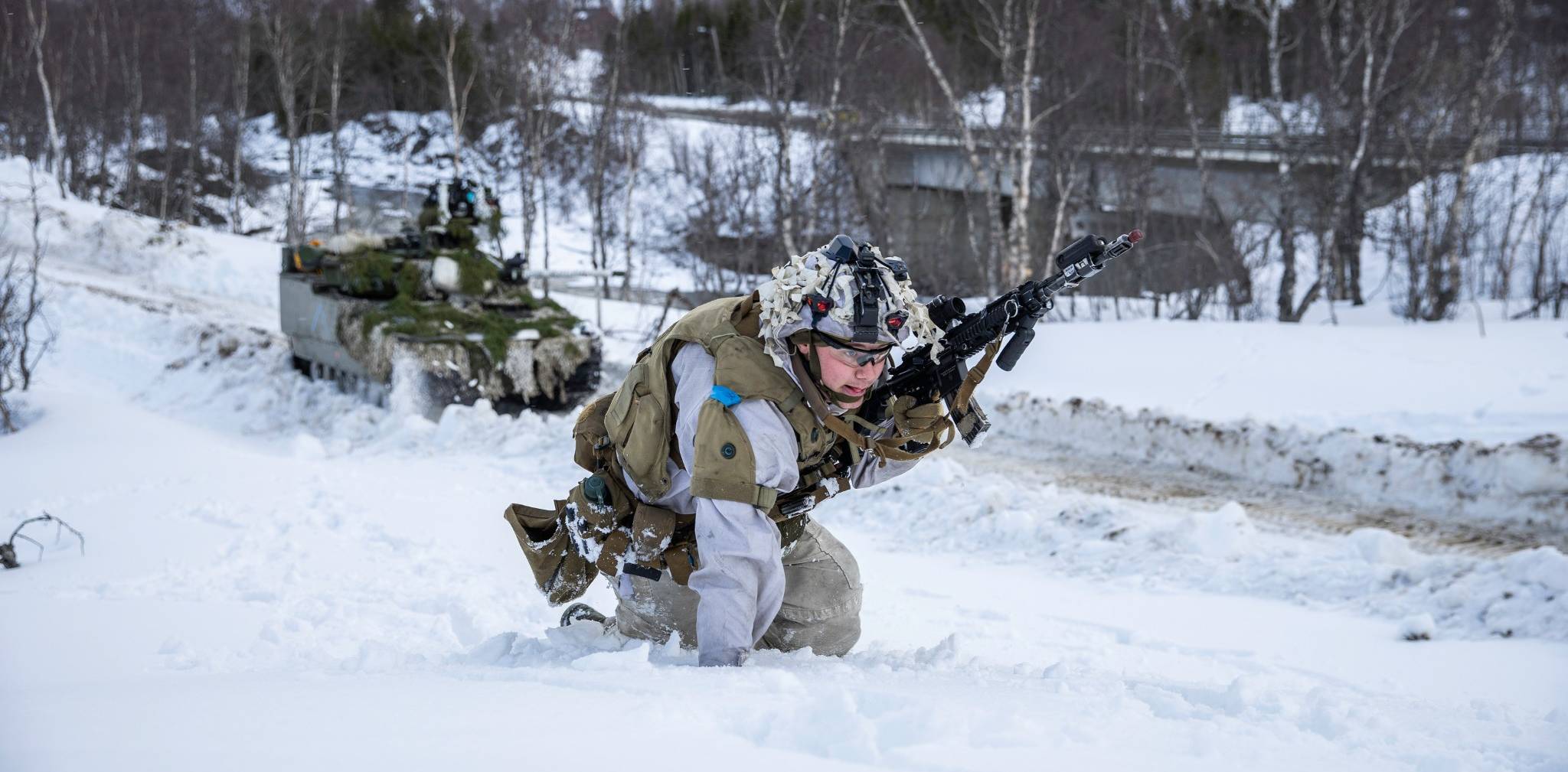 Avdelinger i Hæren - Forsvaret