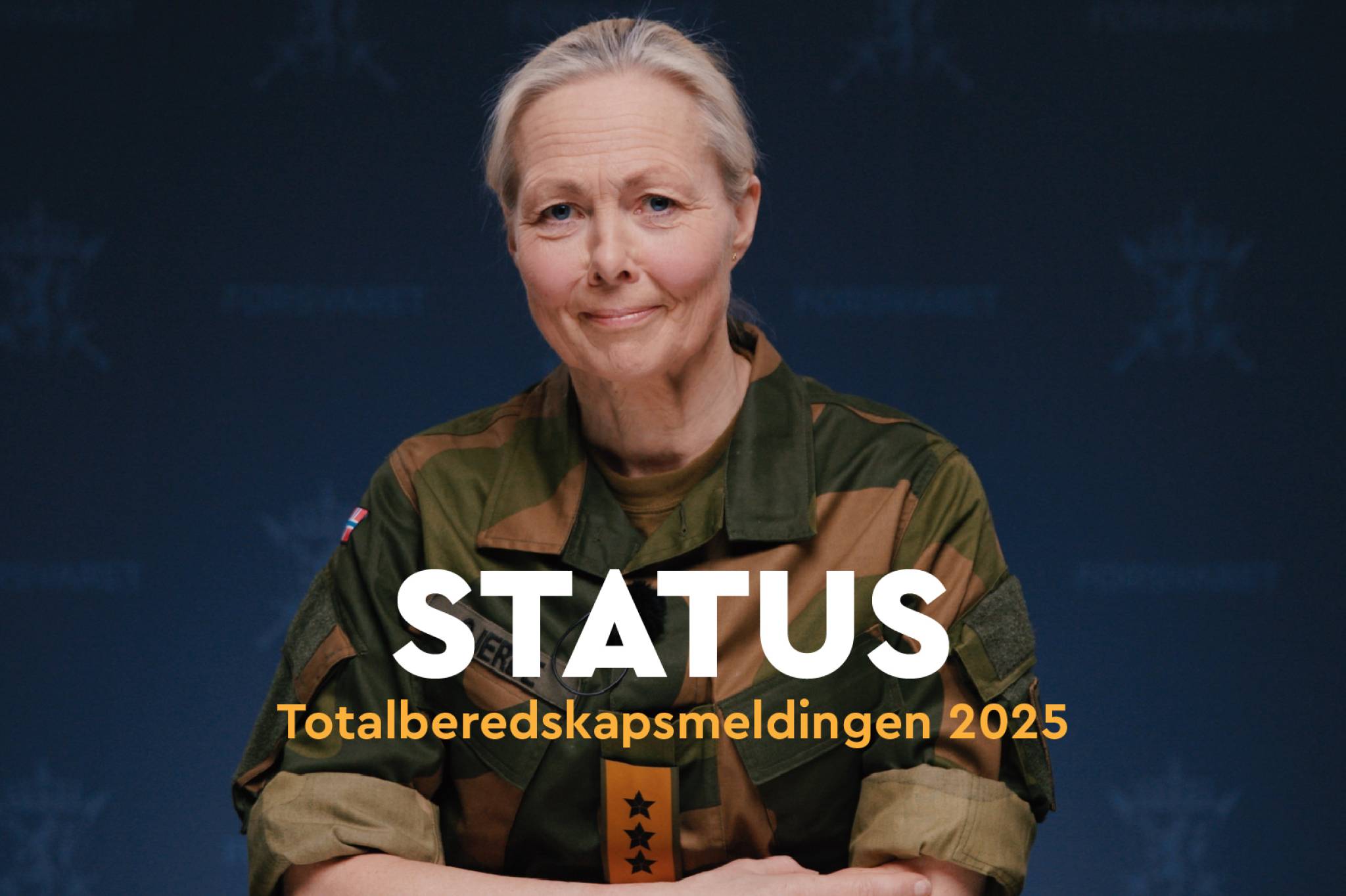 Status: Totalberedskaps­meldingen - Forsvaret